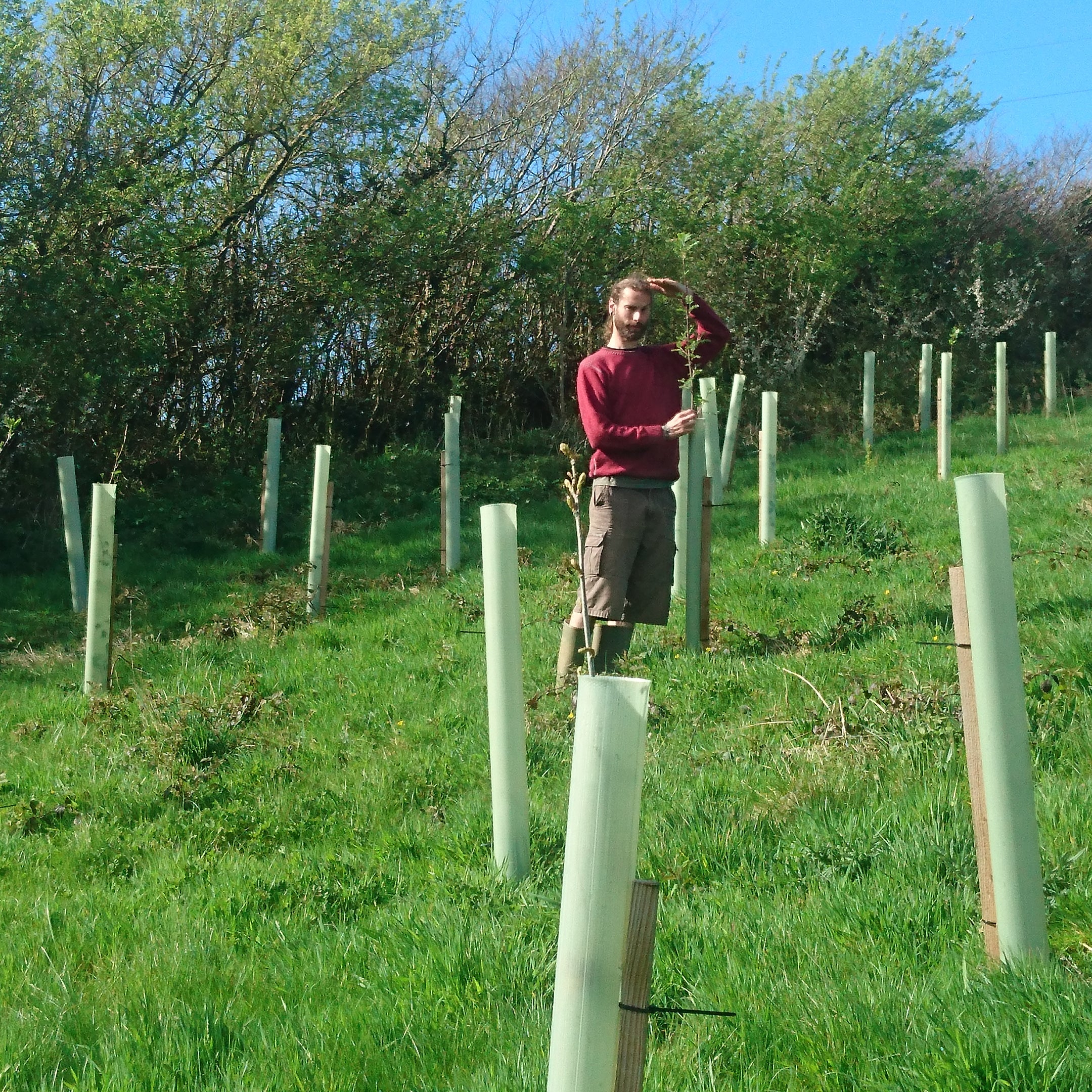 How to Grow a Woodland – Justin Duance